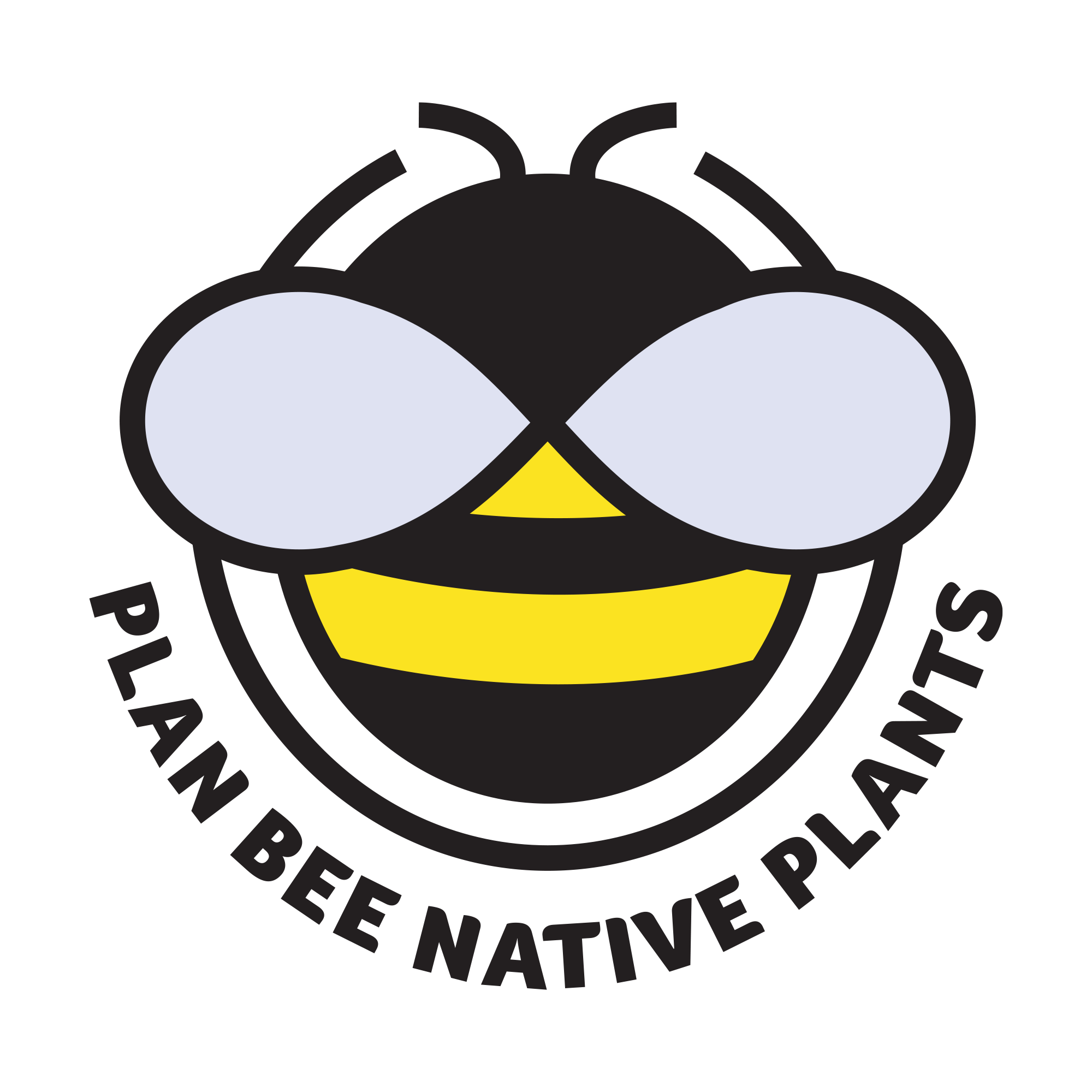 Wholesale Native Plants - Plan Bee Native Plants